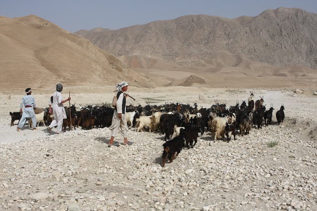 Seerah: The Life and Journey of the Prophet Muhammad (pbuh) In Brief ...