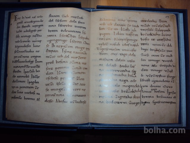 Zgodovina slovenskega knjižnega jezika timeline | Timetoast timelines