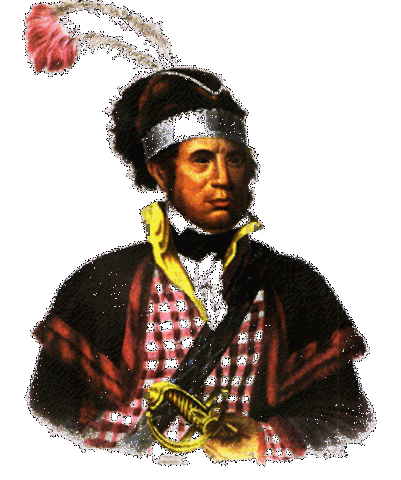 Indian Removal timeline | Timetoast timelines