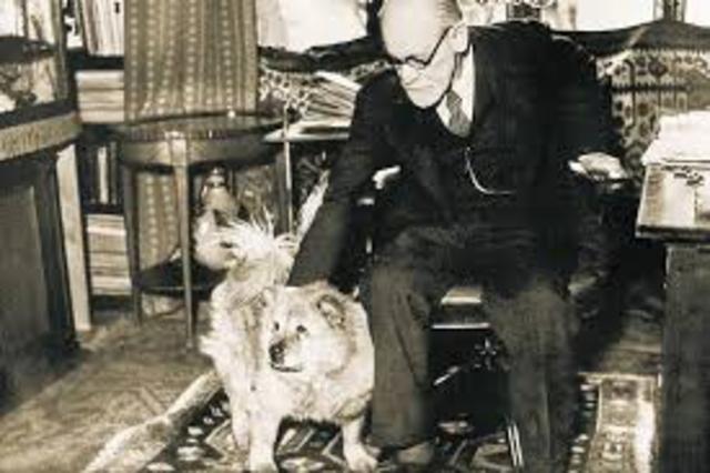 History of Animal Assisted Interventions timeline | Timetoast timelines
