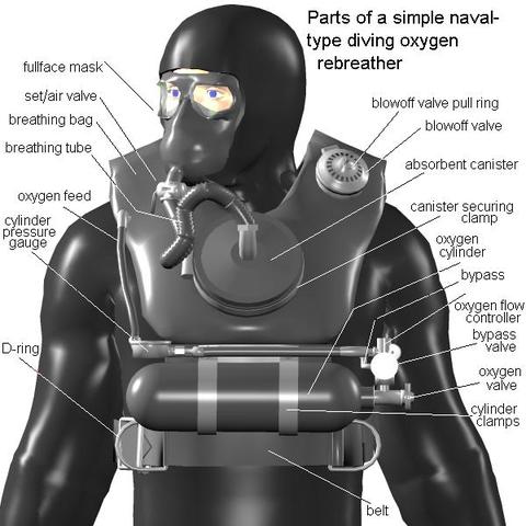 History of Scuba Diving timeline | Timetoast timelines