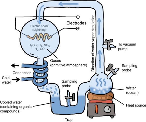 Origin of life timeline | Timetoast timelines
