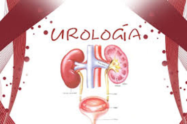 HISTORIA DE LA UROLOGIA Y SU EVOLUCION timeline | Timetoast timelines