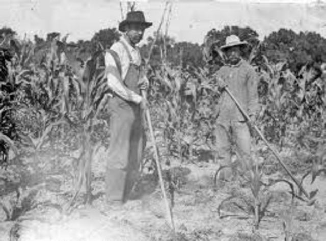 The History of Hybrid Crop Production Associated with Corn timeline ...