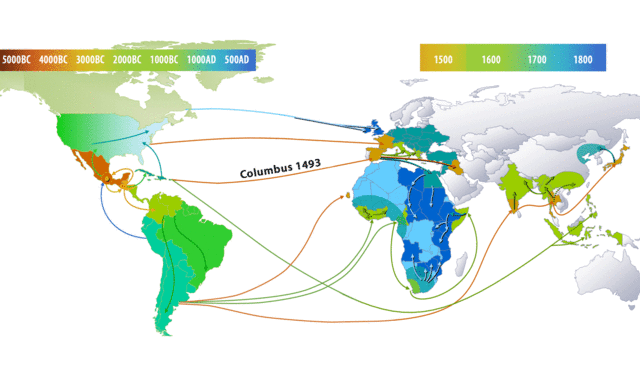 Migration/Immigration of Peoples 1750-1900 timeline | Timetoast timelines