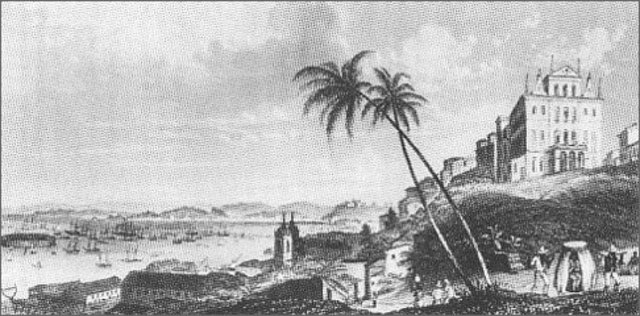 Charles Darwin: Beagle Voyage timeline | Timetoast timelines