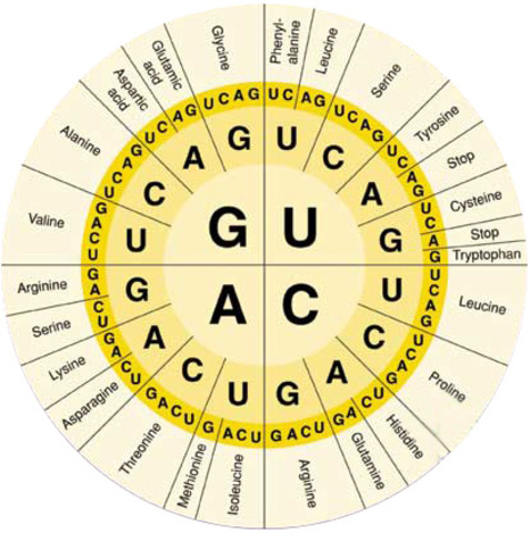 Historía de la Microbiología timeline | Timetoast timelines