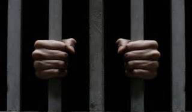 Prison Reform timeline | Timetoast timelines