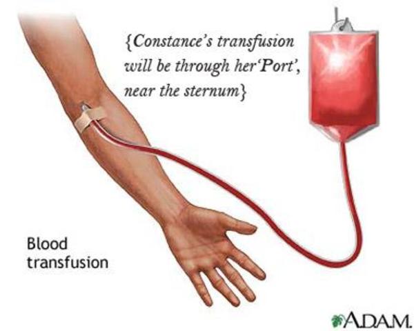 History of Blood timeline | Timetoast timelines