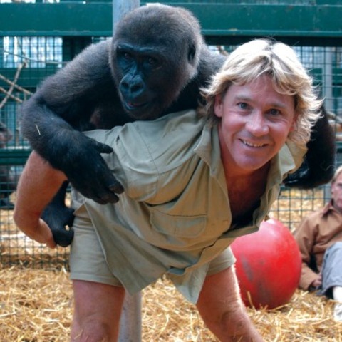 Steve Irwin timeline | Timetoast timelines