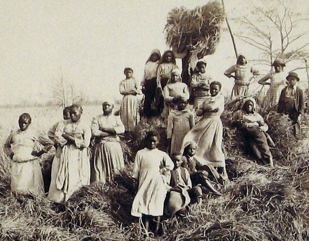 events leading up to the colonisation of Australia timeline | Timetoast ...