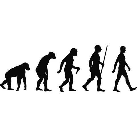 The Evolution of Man timeline | Timetoast timelines