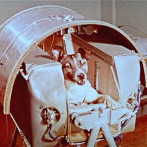 Exploring space timeline | Timetoast timelines