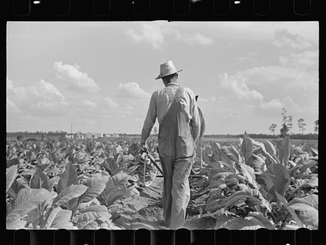 The Great Depression timeline | Timetoast timelines