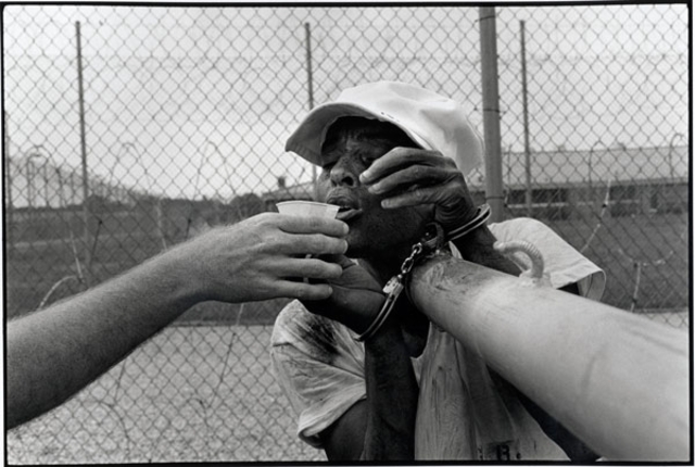 Hope v. Pelzer timeline | Timetoast timelines