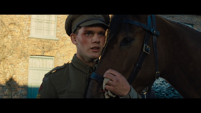 war horse timeline | Timetoast timelines