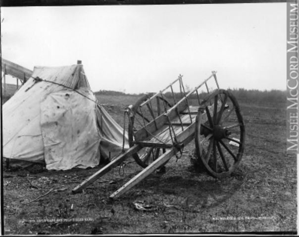 Metis Timeline | Timetoast timelines