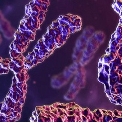 La cronología del descubrimiento del Genoma Humano: timeline | Timetoa