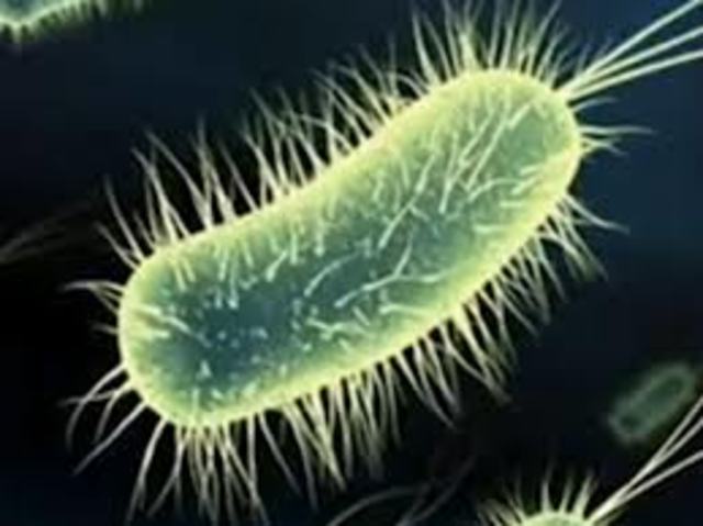 The History of The Germ Theory of Disease timeline | Timetoast timelines