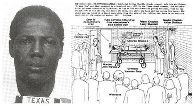 Methods of Execution in the US timeline | Timetoast timelines
