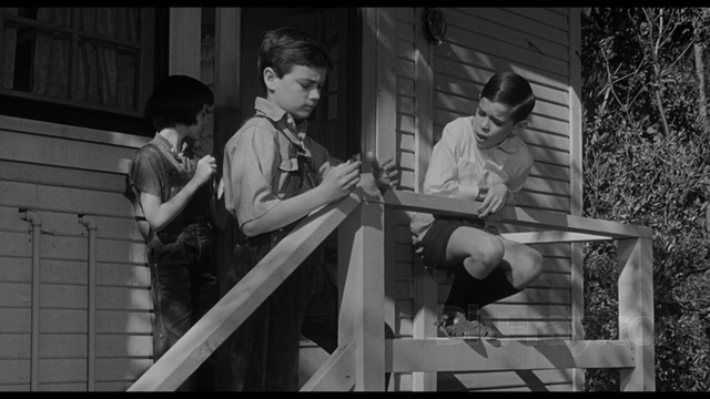 Jean Louise "Scout" Finch timeline | Timetoast timelines