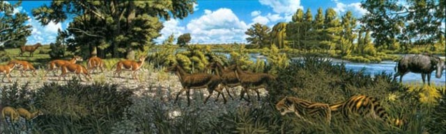 Oligocene, Miocene, and Pliocene epoch timeline | Timetoast timelines