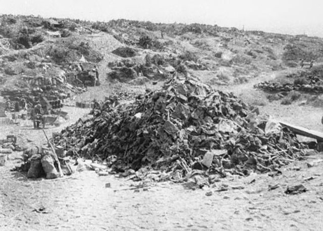 WW1 TIMELINE timeline | Timetoast timelines