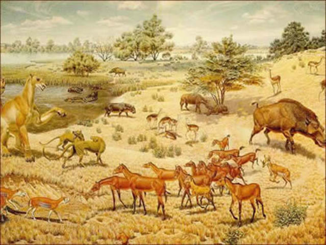 Earth Eras through Time timeline | Timetoast timelines