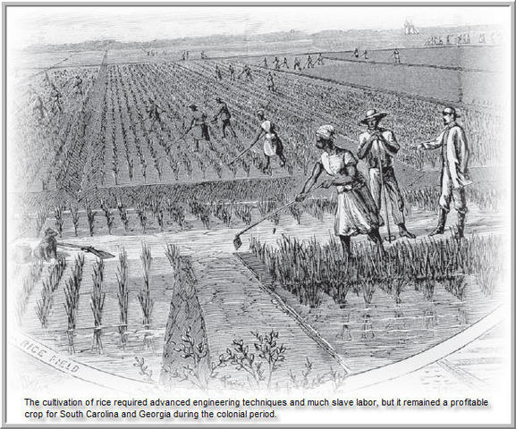 Historical Roots of education within the United States timeline ...