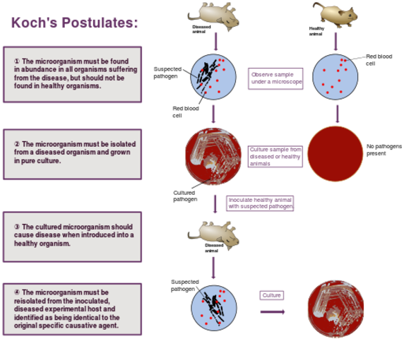 History of Immunology timeline | Timetoast timelines