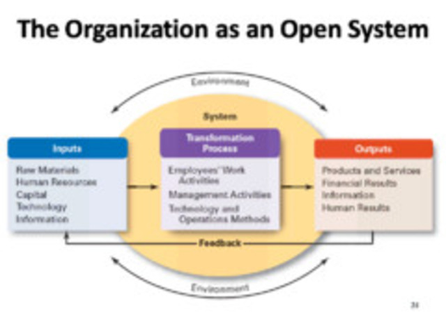 Key Moments in the Evolution of Management timeline | Timetoast timelines