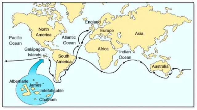 Darwin's Beagle Voyage timeline | Timetoast timelines