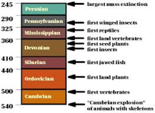 Geologic Time Scale timeline | Timetoast timelines