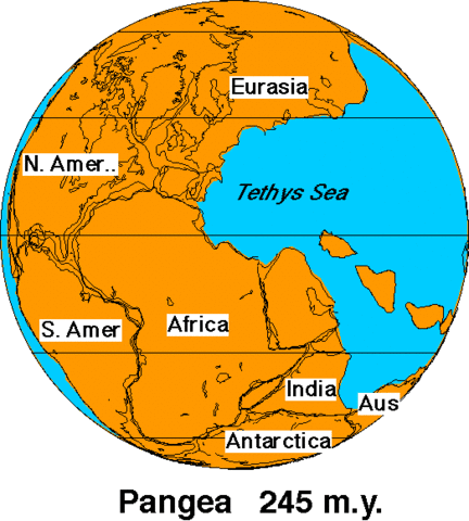 Continental Drift timeline | Timetoast timelines