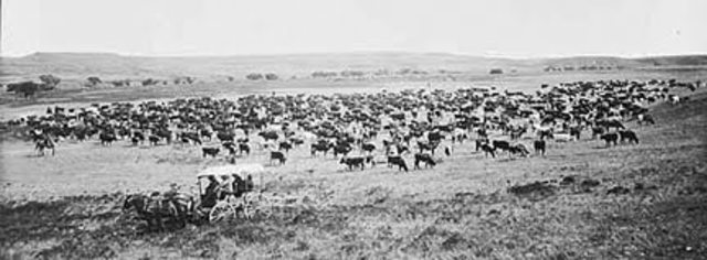 Conquest of the West from mid-1800s through 1900 Timeline | Timetoast ...