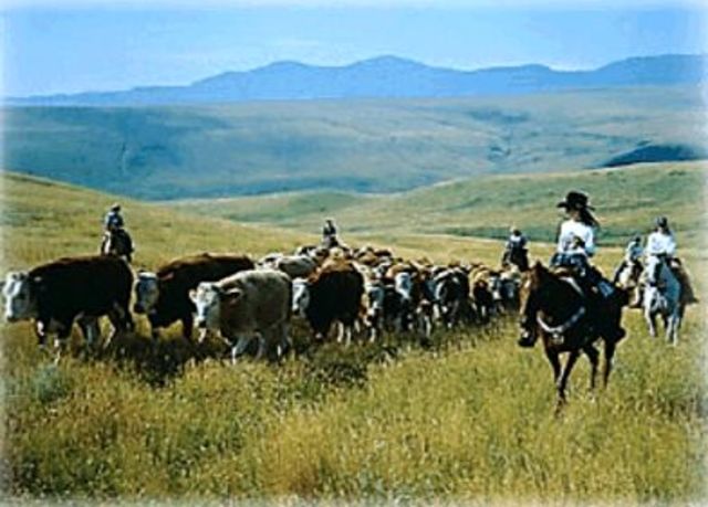 Conquest of the West from mid-1800s through 1900 Timeline | Timetoast ...