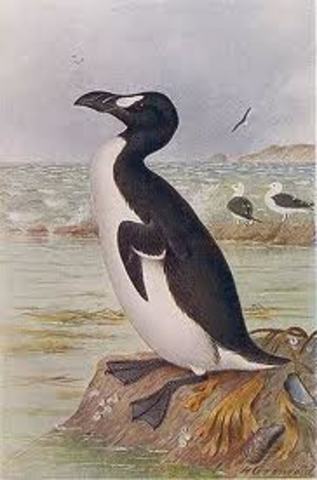 The Extinction of the Ages timeline | Timetoast timelines