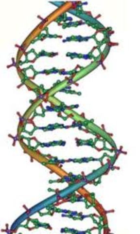 The Story of the Double Helix timeline | Timetoast timelines