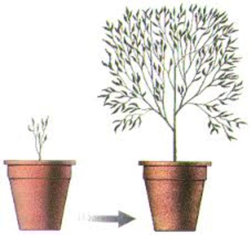 Kayla's Cell Theory Timeline | Timetoast timelines