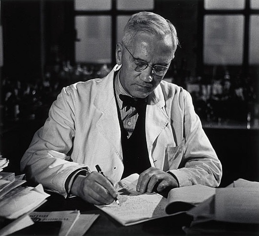 Alexander Fleming timeline | Timetoast timelines