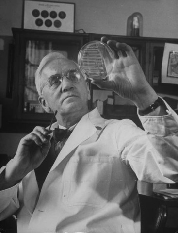 Alexander Fleming timeline | Timetoast timelines