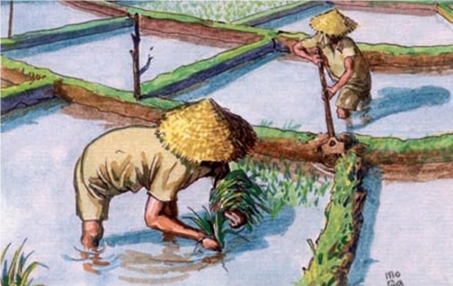 EPOCA ABORIGEN timeline | Timetoast timelines