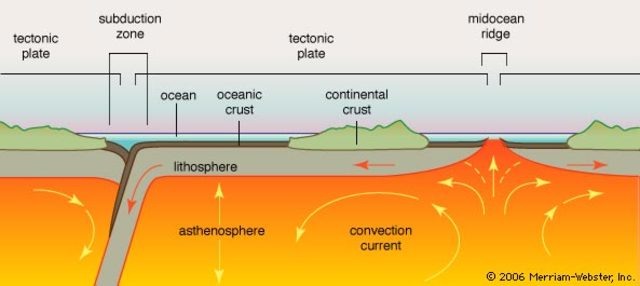 Historical Development of Plate Tectonics Theory timeline | Timetoast ...