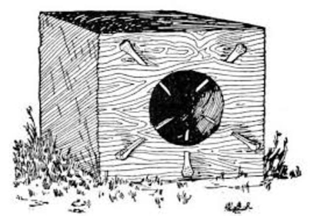 Where the Red Fern Grows timeline | Timetoast timelines