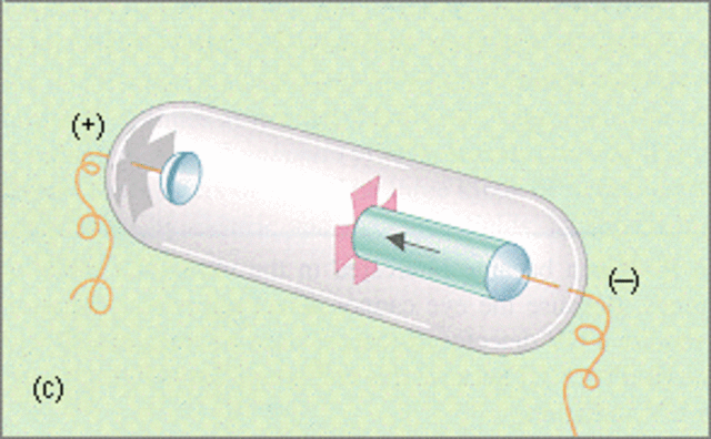 HISTORIA DE LA RADIOLOGÍA DENTAL timeline | Timetoast timelines