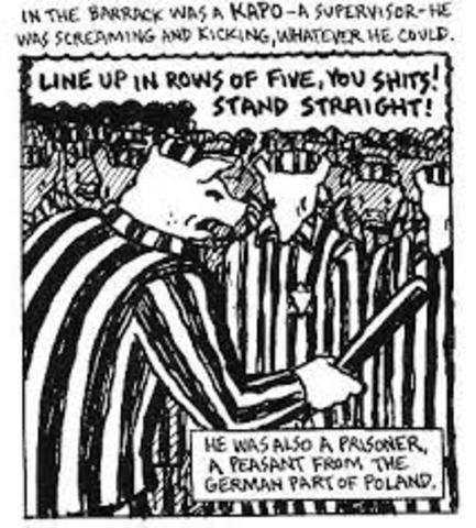 Maus I and II: Vladek's Life timeline | Timetoast timelines