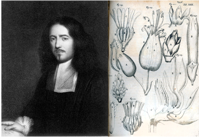 Evolución De La Microbiologia Timeline Timetoast Timelines