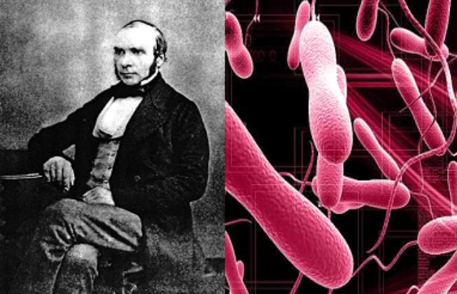 EVOLUCIÓN DE LA MICROBIOLOGIA timeline | Timetoast timelines
