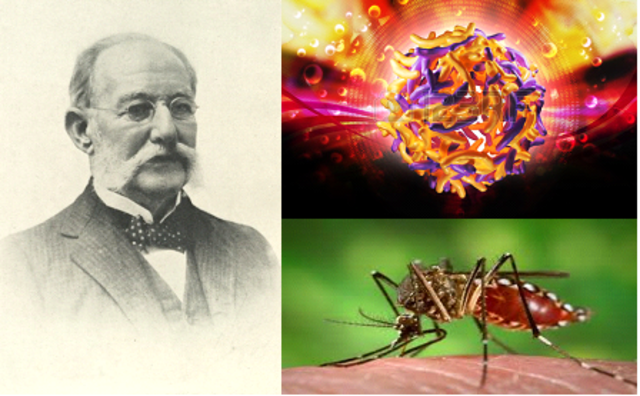 EVOLUCIÓN DE LA MICROBIOLOGIA timeline | Timetoast timelines