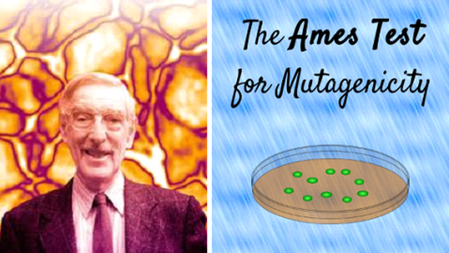 EVOLUCIÓN DE LA MICROBIOLOGIA timeline | Timetoast timelines